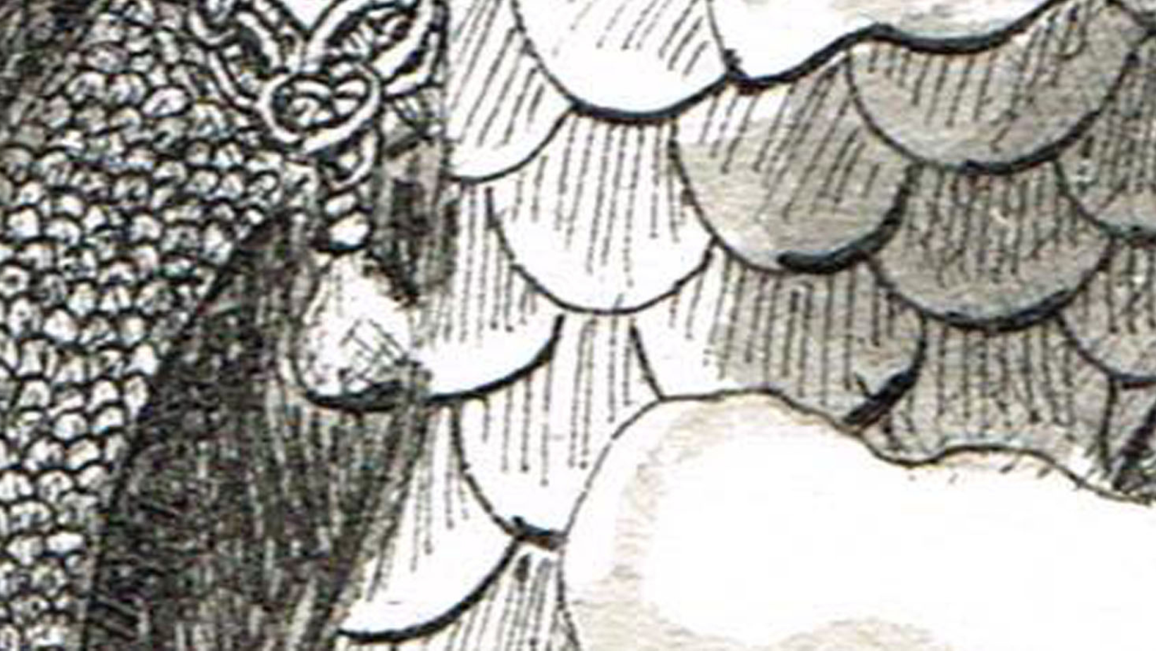 Sharing my creative process: Andromeda and Dragon in a Cave – Charlie ...